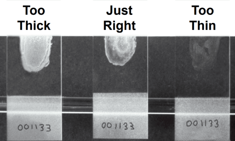 Optical Microscopy: Specimen Preparation, Staining, and Quantitative