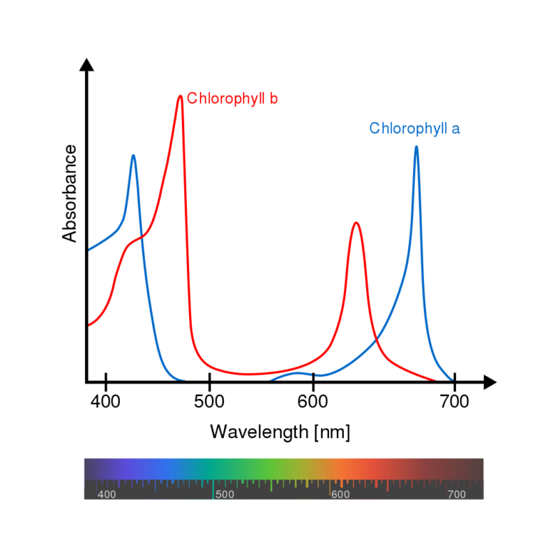 Spectrophotometer - Conduct Science