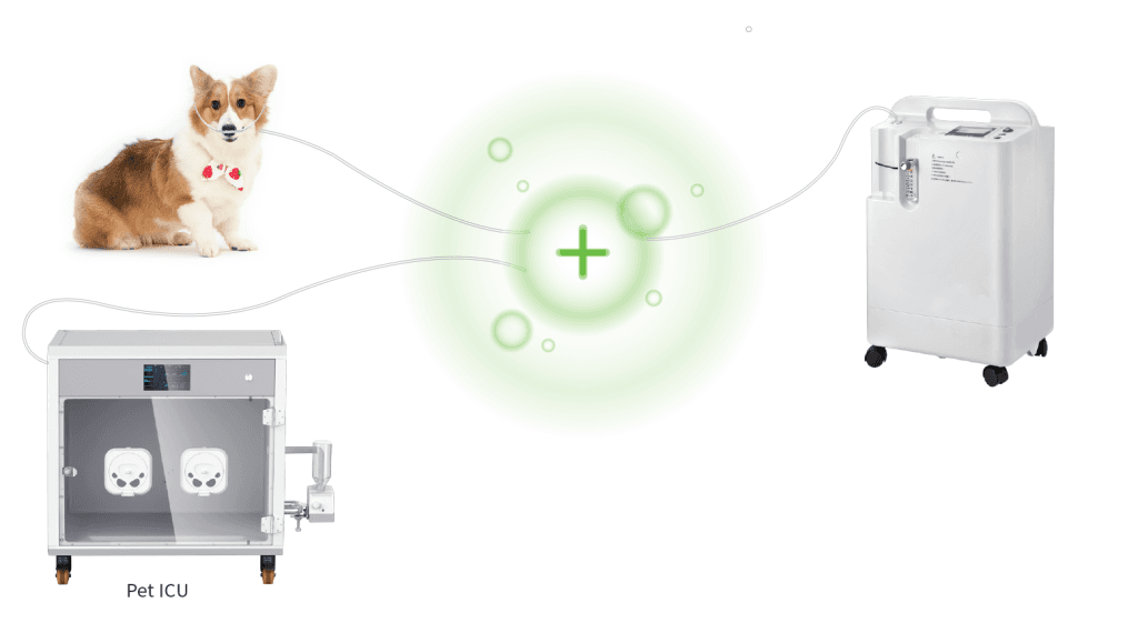 Veterinary Oxygen Concentrator_Compatible With Anesthesia Machine ...