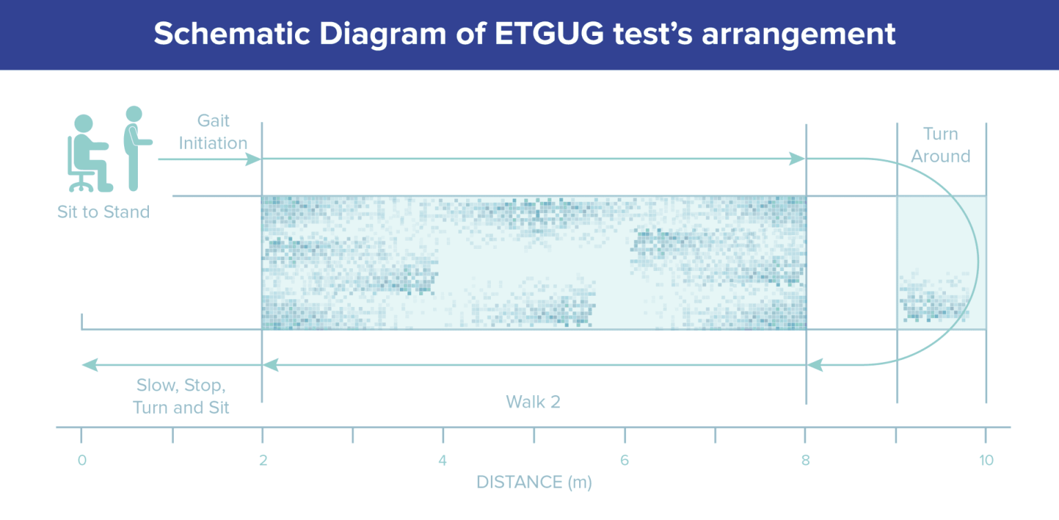 Timed Up and Go Test TUGT - Conduct Science