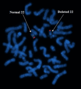 Molecular Cytogenetics: in situ hybridization-based technology ...