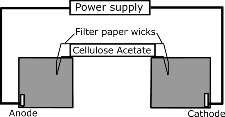 Cellulose Acetate Electrophoresis - Conduct Science