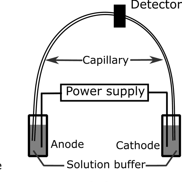 Capillary Electrophoresis - Conduct Science