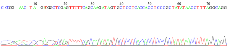 Capillary Electrophoresis - Conduct Science