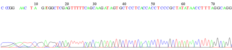 Capillary Electrophoresis - Conduct Science