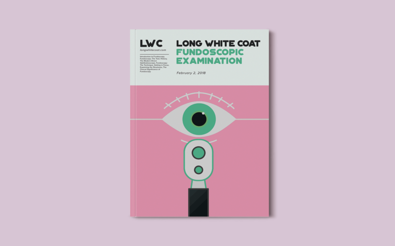 A Comprehensive Guide to the Fundoscopic Examination - Conduct Science