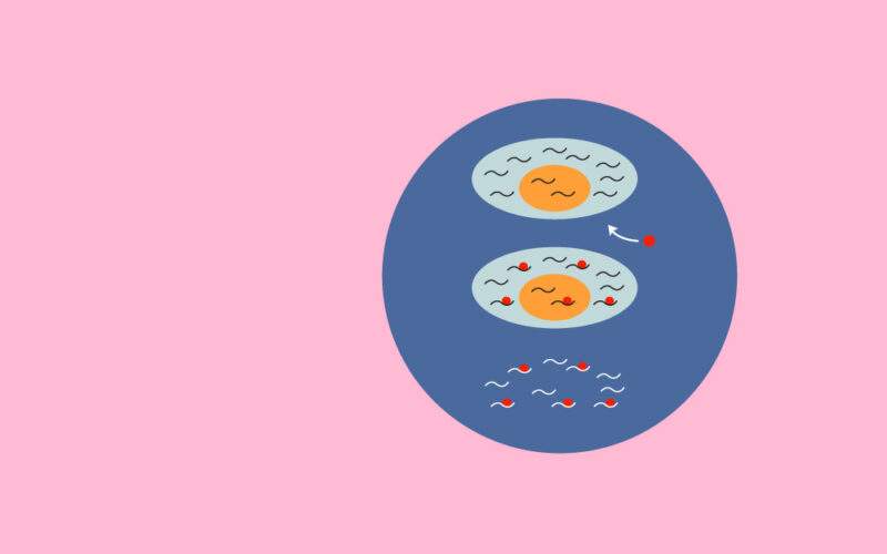 Pulse Chase Analysis - Conduct Science