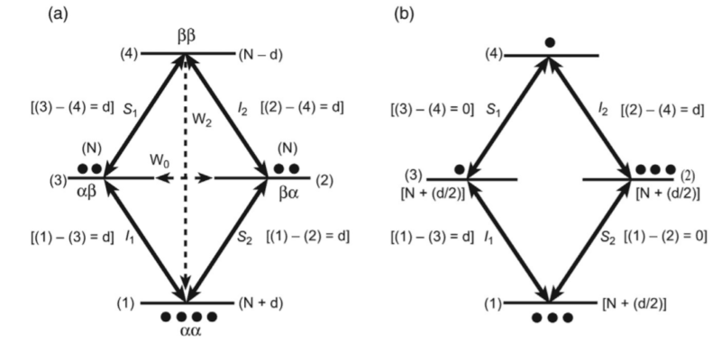 The Nuclear Overhauser Effect - Conduct Science