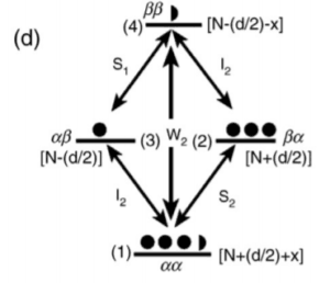 The Nuclear Overhauser Effect - Conduct Science