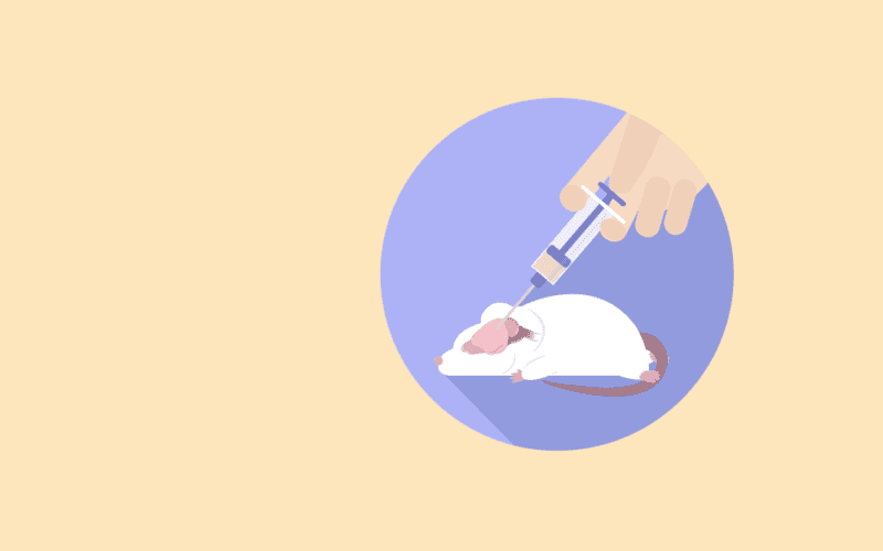 Parkinson’s Disease Rat Models - Conduct Science