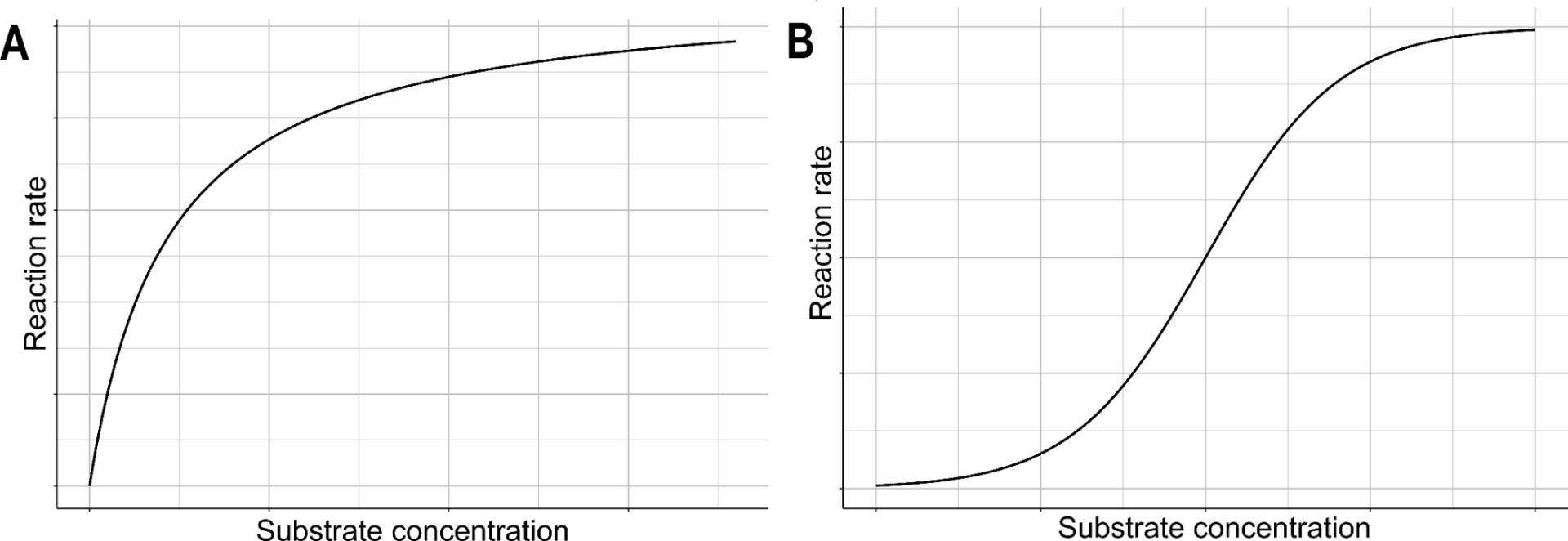 Factors That Affects Enzyme Activity - Conduct Science