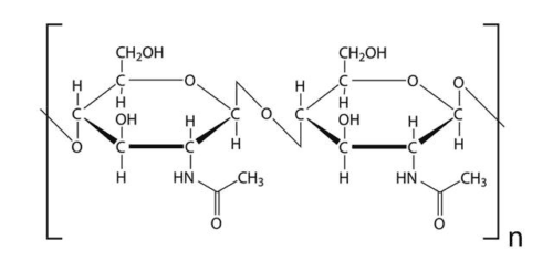 Polysaccharides: Properties, Functions, and Applications - Conduct Science