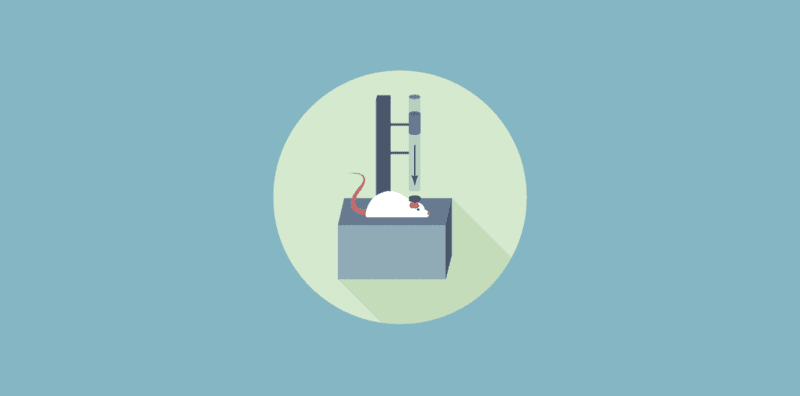 Weight Drop Injury Model - Conduct Science