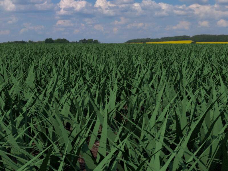 Grassy Field - Conduct Science
