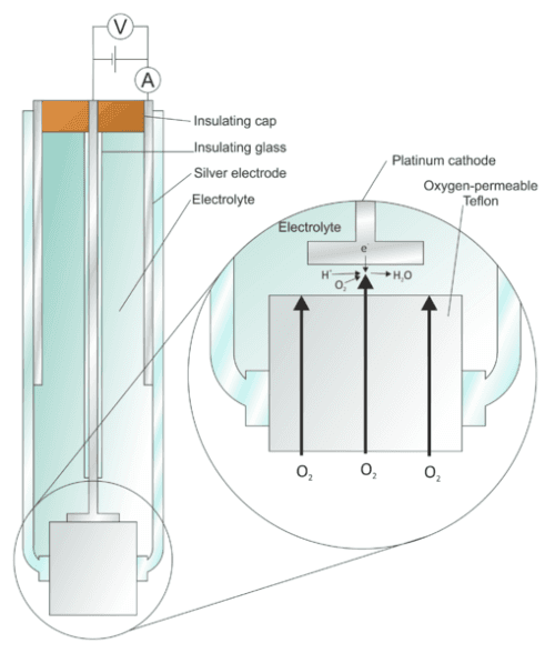 Clark Oxygen Electrode: Principle and Limitations - Conduct Science