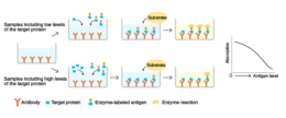 Principle, Technique & Types of ELISA Assay