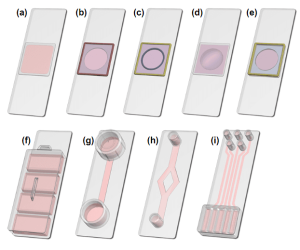 Types and Applications of Imaging Chambers - Conduct Science