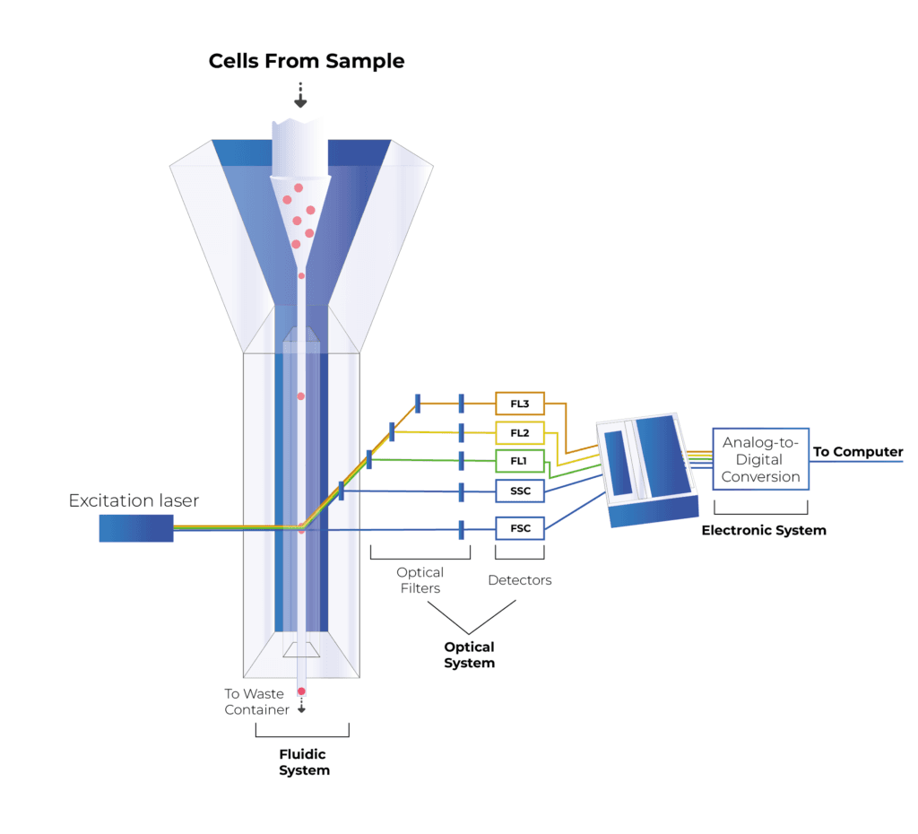 The Definitive Guide to Flow Cytometry for Scientists - Conduct Science