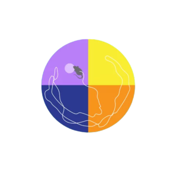 Noldus EthoVision XT - Conduct Science