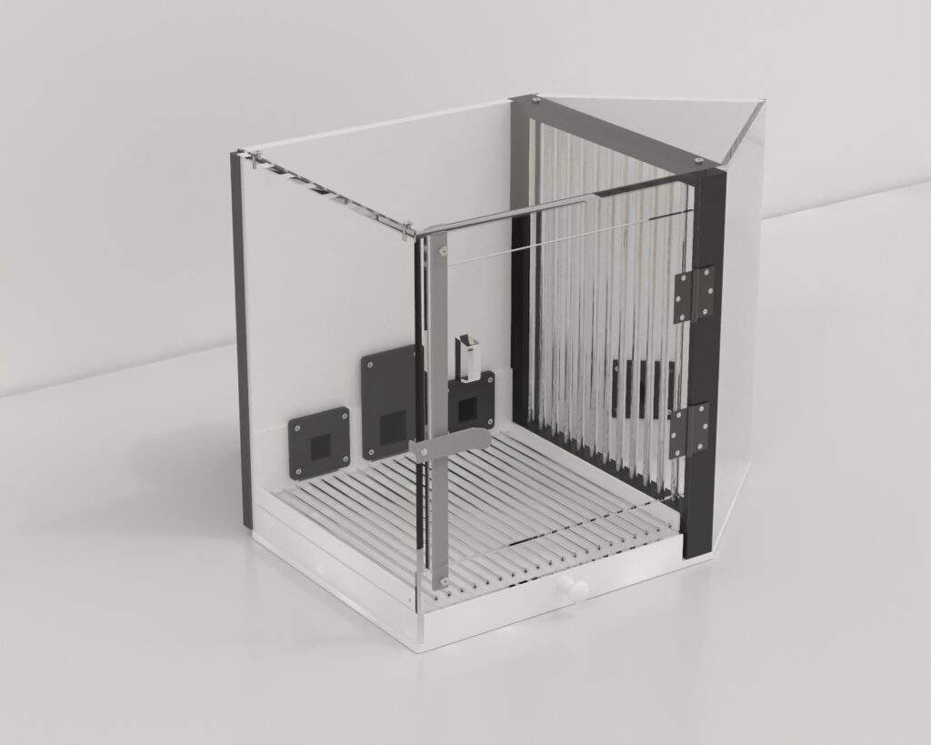 Two Choice Social Decision Making Task - Conduct Science