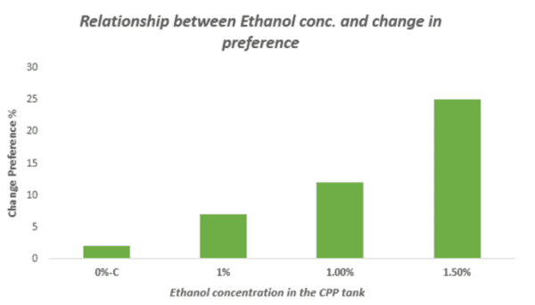 Zebrafish Place Preference Test - Conduct Science