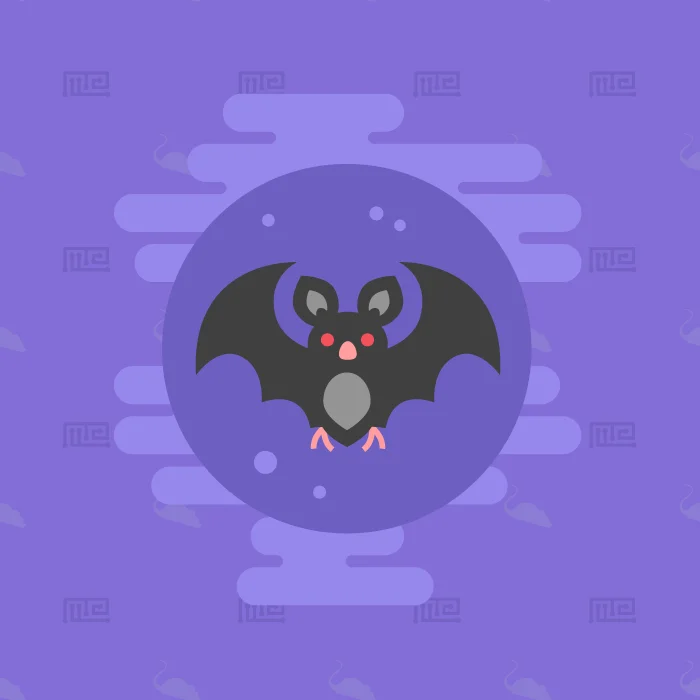 Bats - Conduct Science