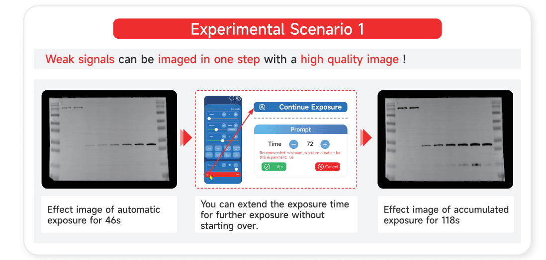 Chemiluminescence Imaging System - Conduct Science