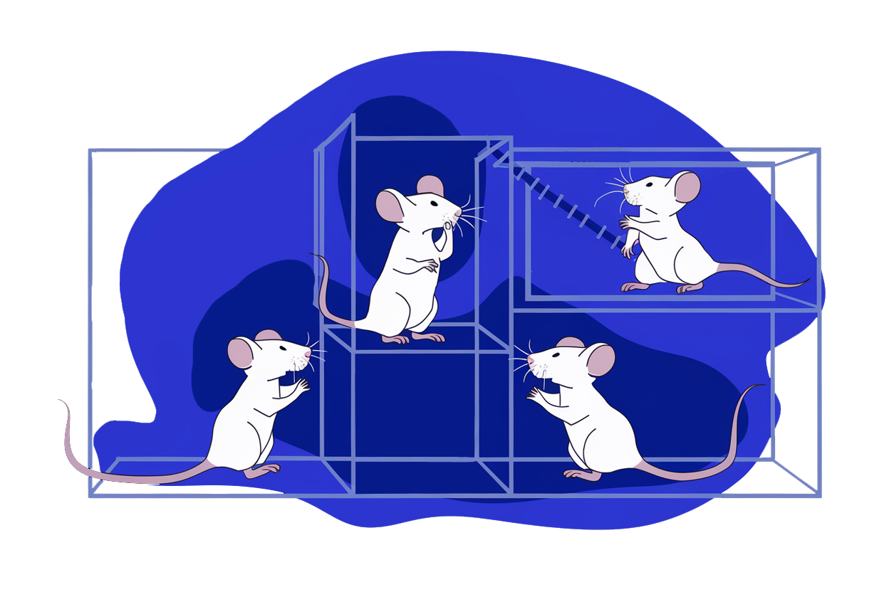 Manual Mazes for Behavioral Research | ConductVision