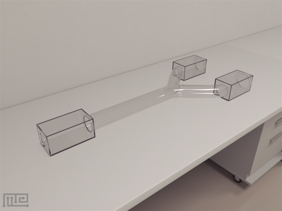 Snake Y-Maze | Spatial Memory Testing | ConductScience
