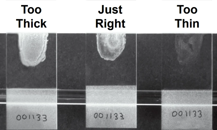 Optical Microscopy: Specimen Preparation, Staining, and Quantitative