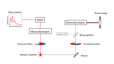 Fluorescence Spectrophotometry: Principles and Applications - Conduct ...
